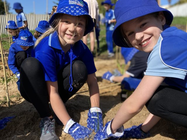 Pocket forests | City of Joondalup