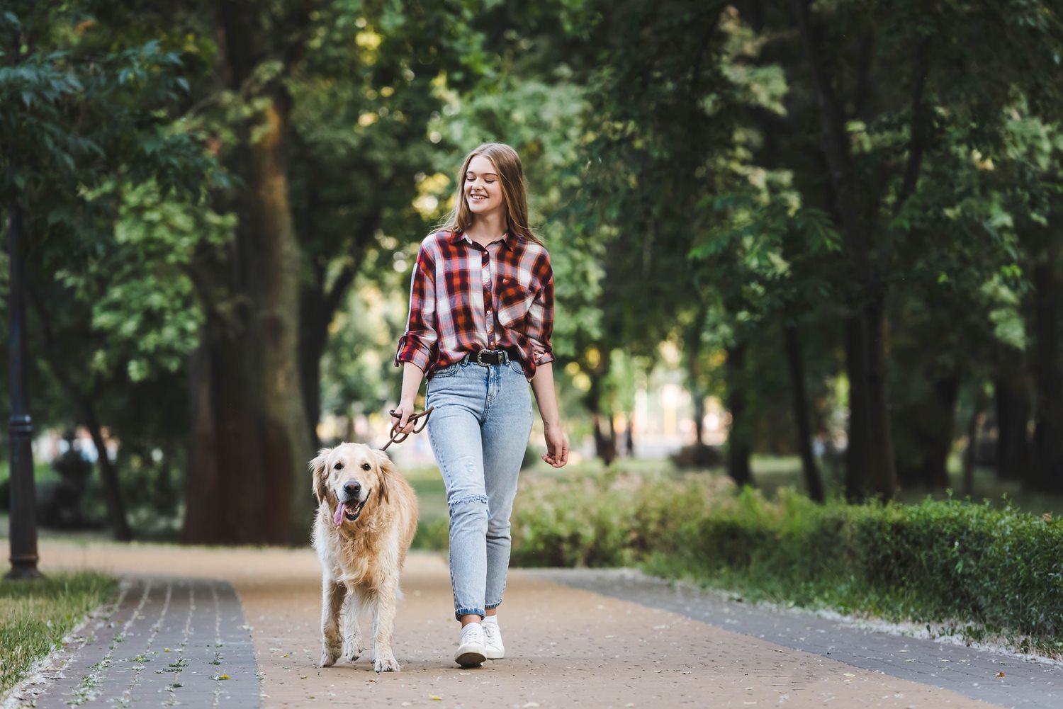 Dog management | City of Joondalup