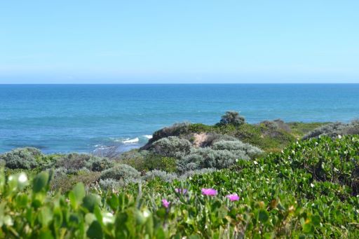 Draft Iluka-Burns Beach Foreshore Reserve Management Plan | City of ...